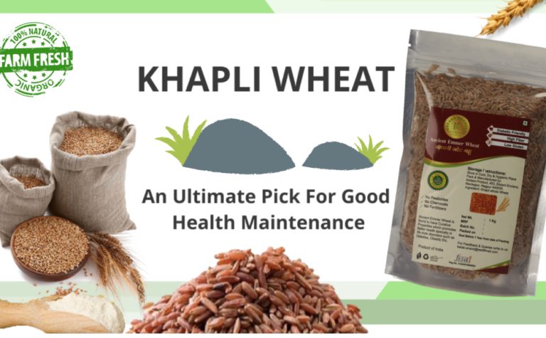 Kedars Product Khapli Wheat/Emmer wheat/ Whole Emmer Wheat / Jod gahu 3 ...